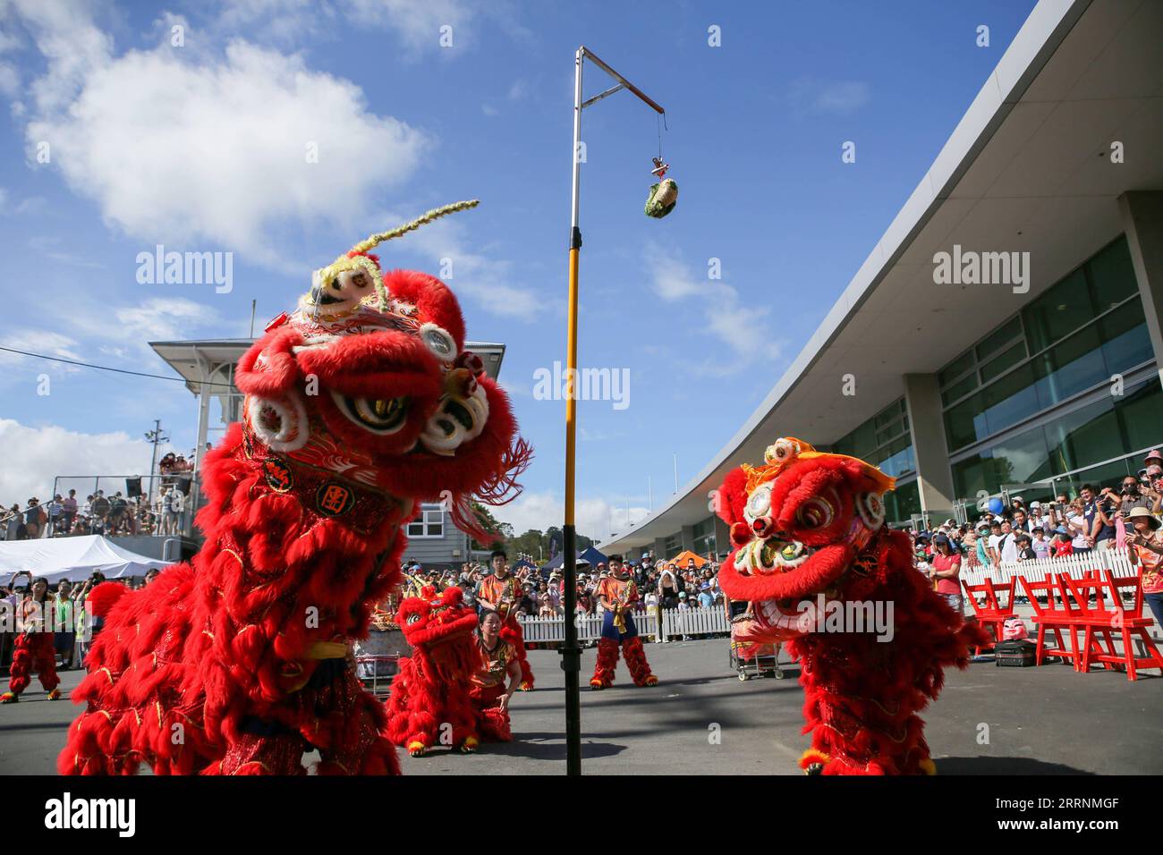 New zealand spring festival hi-res stock photography and images - Alamy