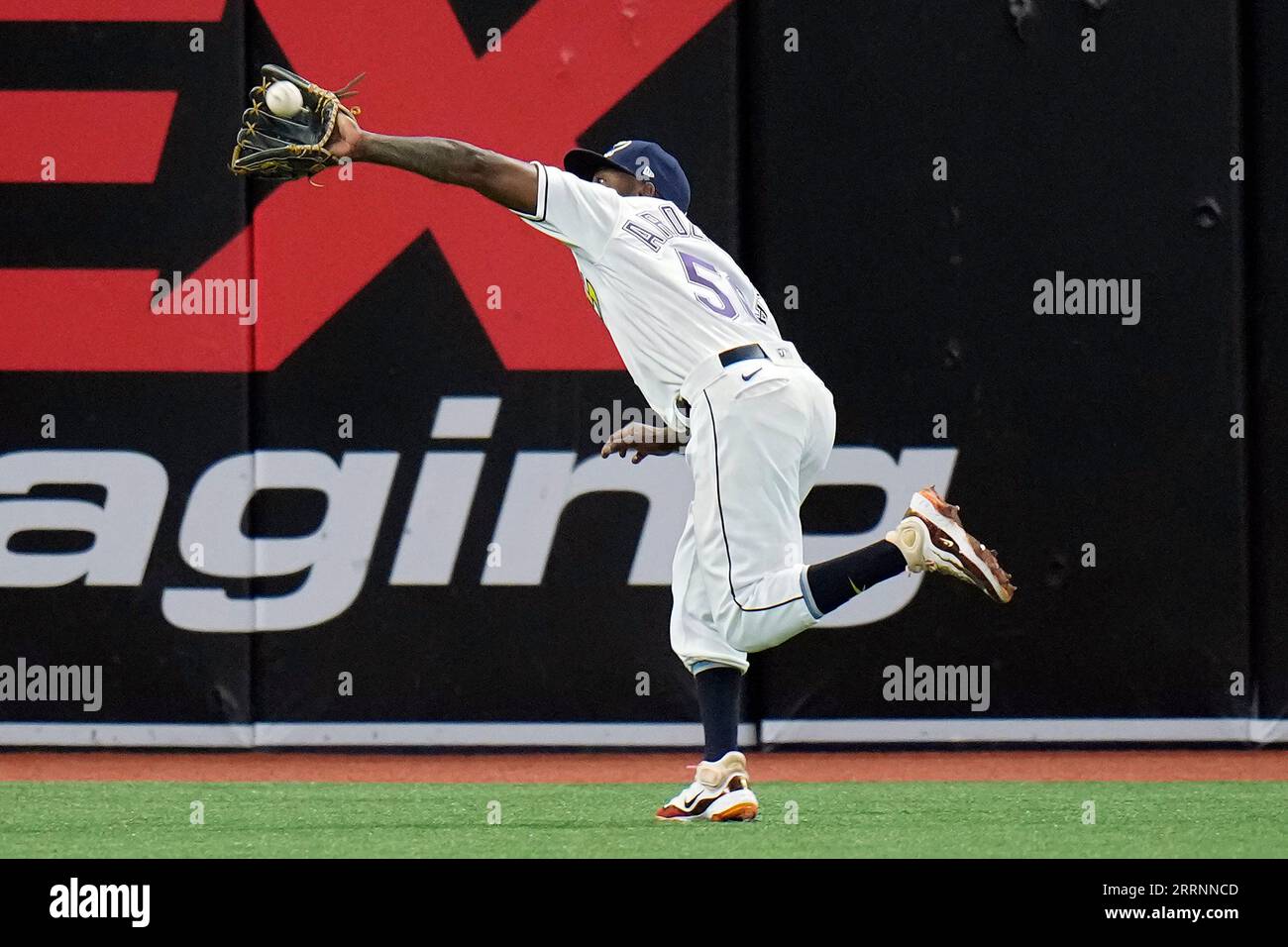 Tampa Bay Rays left fielder Randy Arozarena makes a running catch on a ...