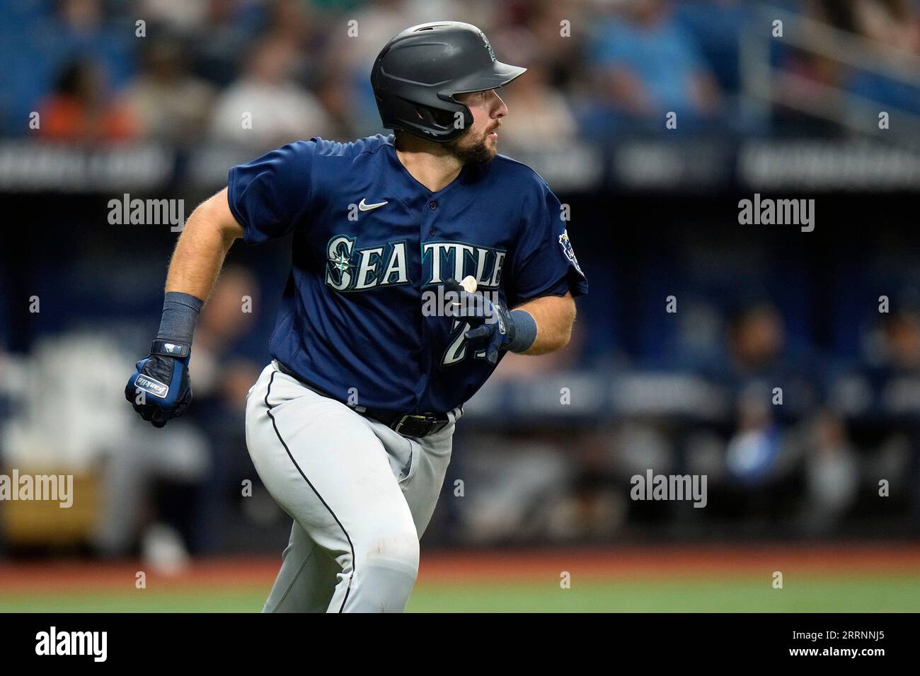 Seattle Mariners' Cal Raleigh watches his home run off Tampa Bay Rays ...
