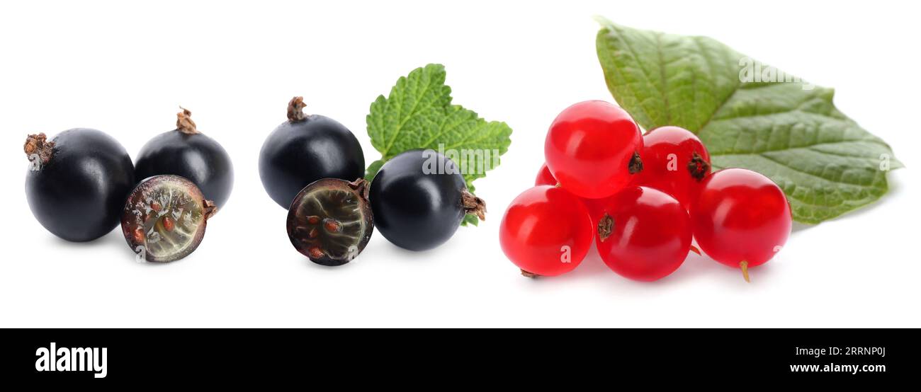 Set with black and red currants isolated on white Stock Photo - Alamy