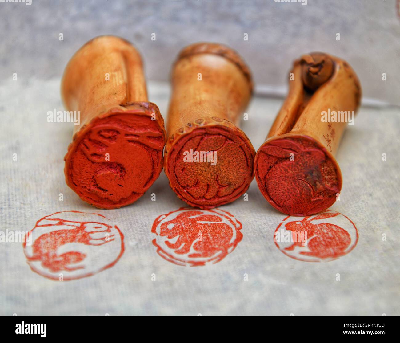 230123 -- WUYISHAN, Jan. 23, 2023 -- This photo taken on Jan. 19, 2023 ...