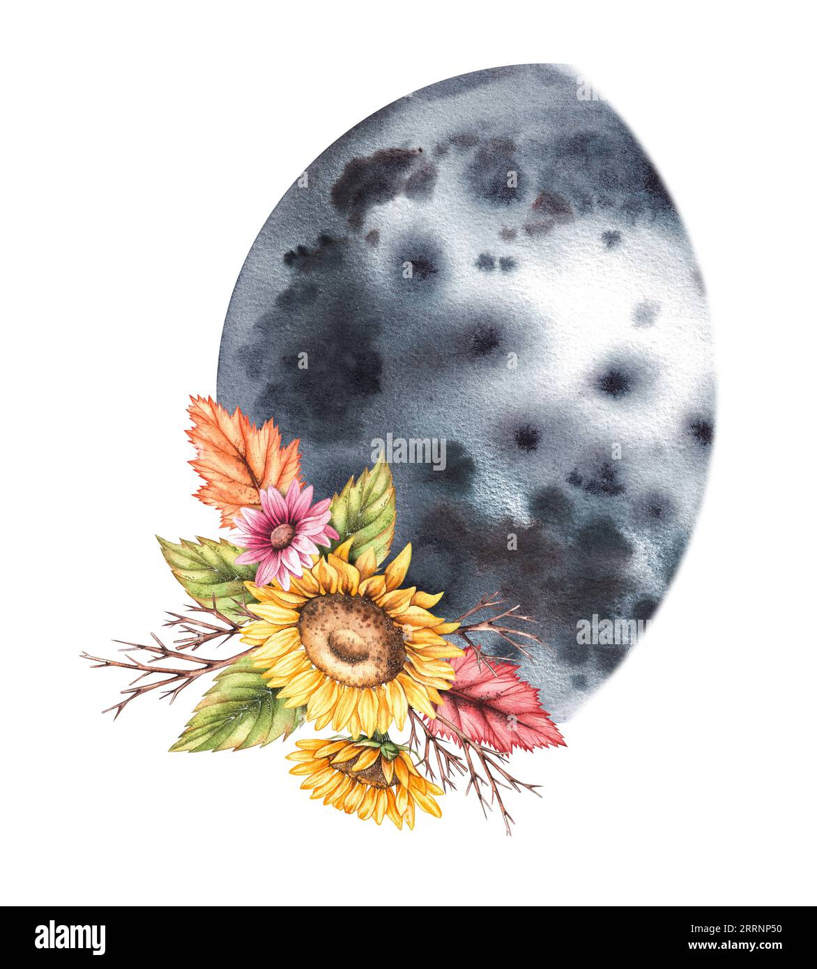 Watercolor moon with autumn bouquets isolated. Moon hand drawn on white ...