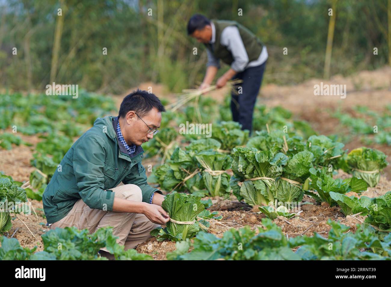 230128 -- HUANGSHAN, Jan. 28, 2023 -- Zheng Tao and his father package ...