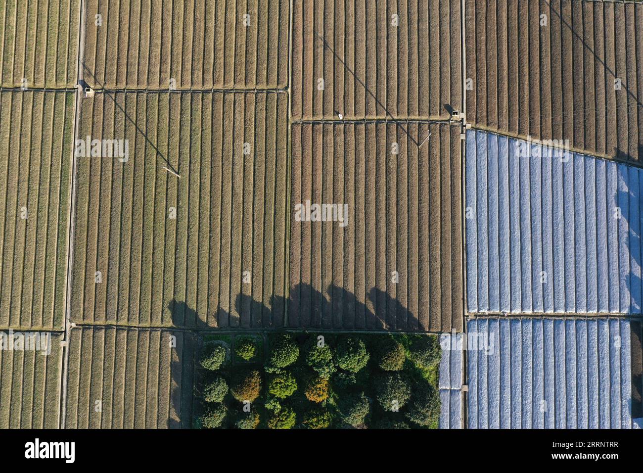 230131 -- FUZHOU, Jan. 31, 2023 -- This aerial photo taken on Jan. 31 ...