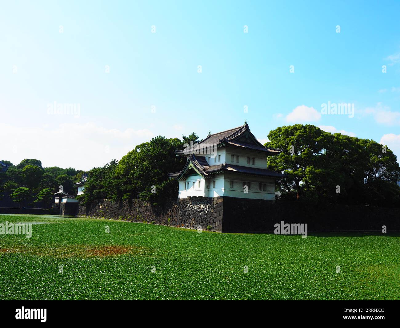 Tokyo, City Trip to Japan’s capital Stock Photo - Alamy
