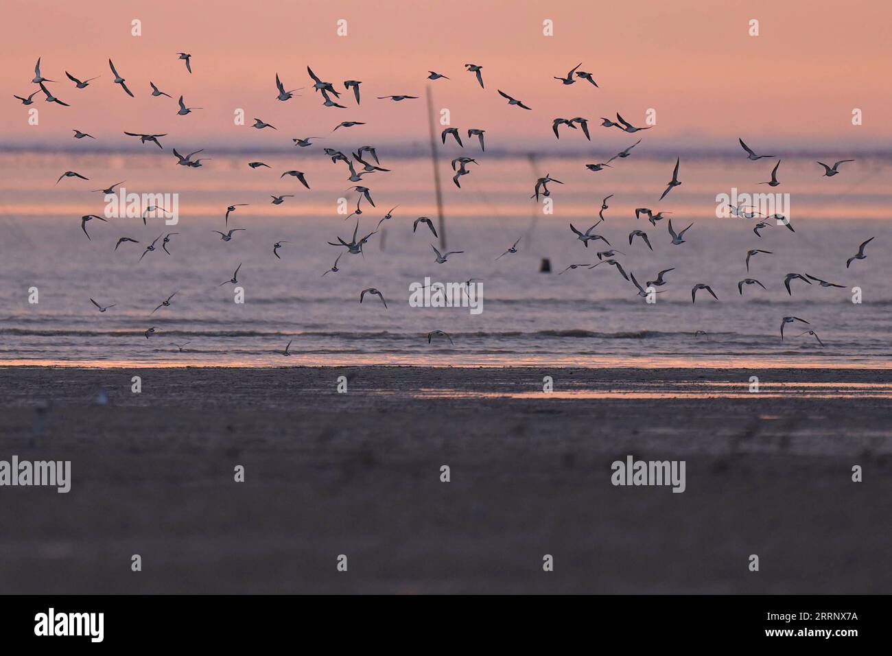 Weitou bay hi-res stock photography and images - Alamy