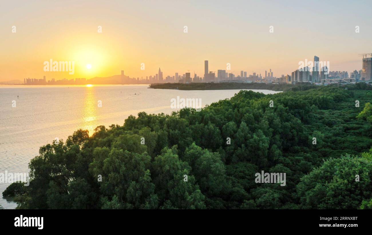 230202 -- SHENZHEN, Feb. 2, 2023 -- This aerial photo taken on Feb. 1 ...
