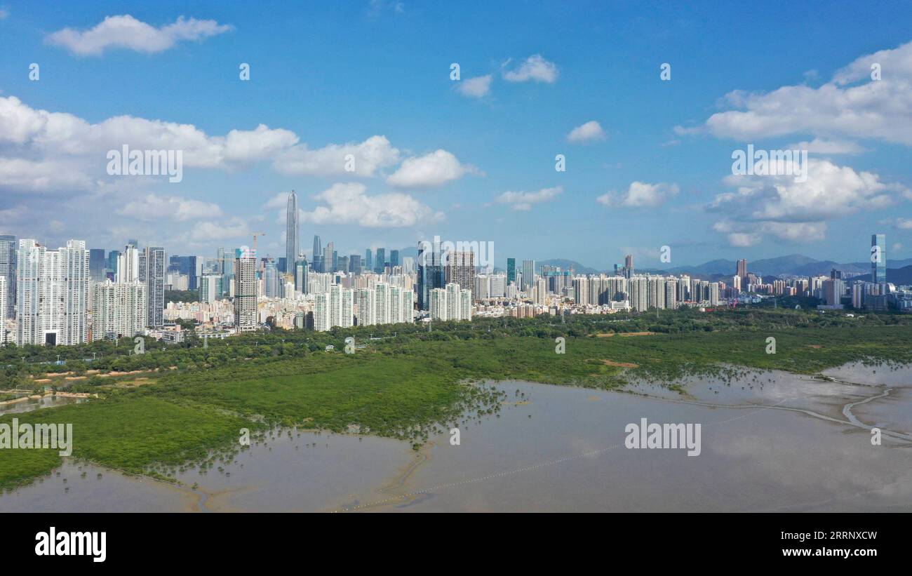 230202 -- SHENZHEN, Feb. 2, 2023 -- This aerial photo taken on Feb. 1 ...