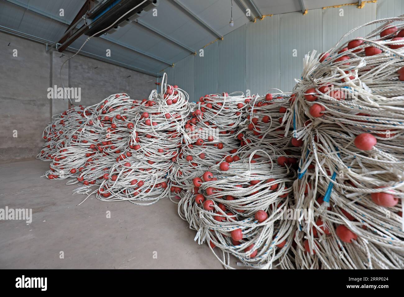 The nylon nets stacked together are in the storage workshop Stock Photo ...