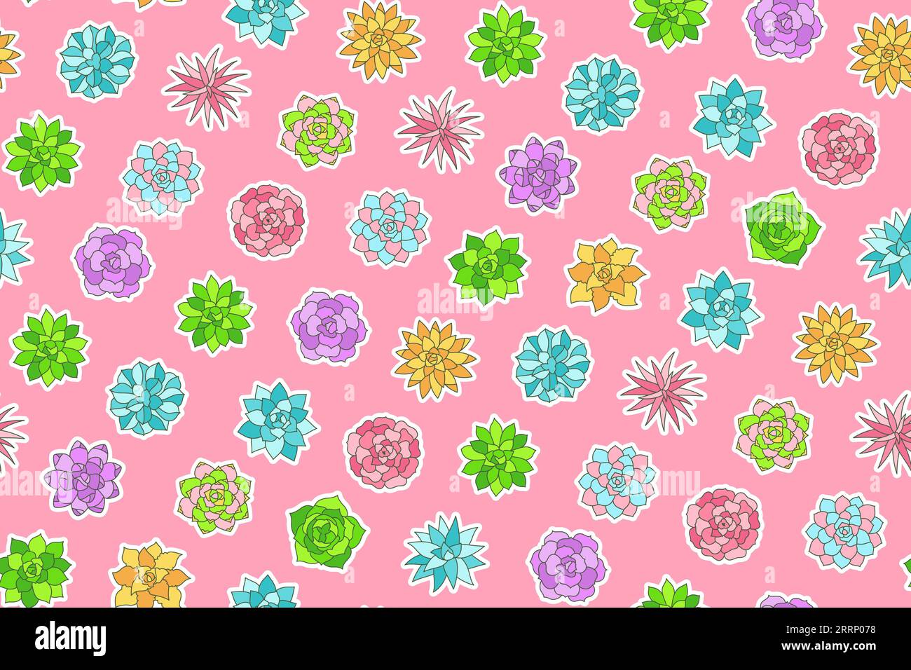 Succulent houseplant seamless pattern. Tropical home plant boundless ...