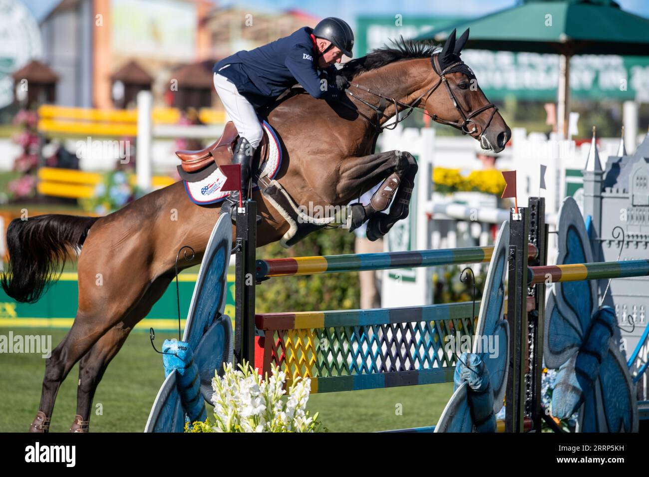 John whitaker spruce hi-res stock photography and images - Alamy