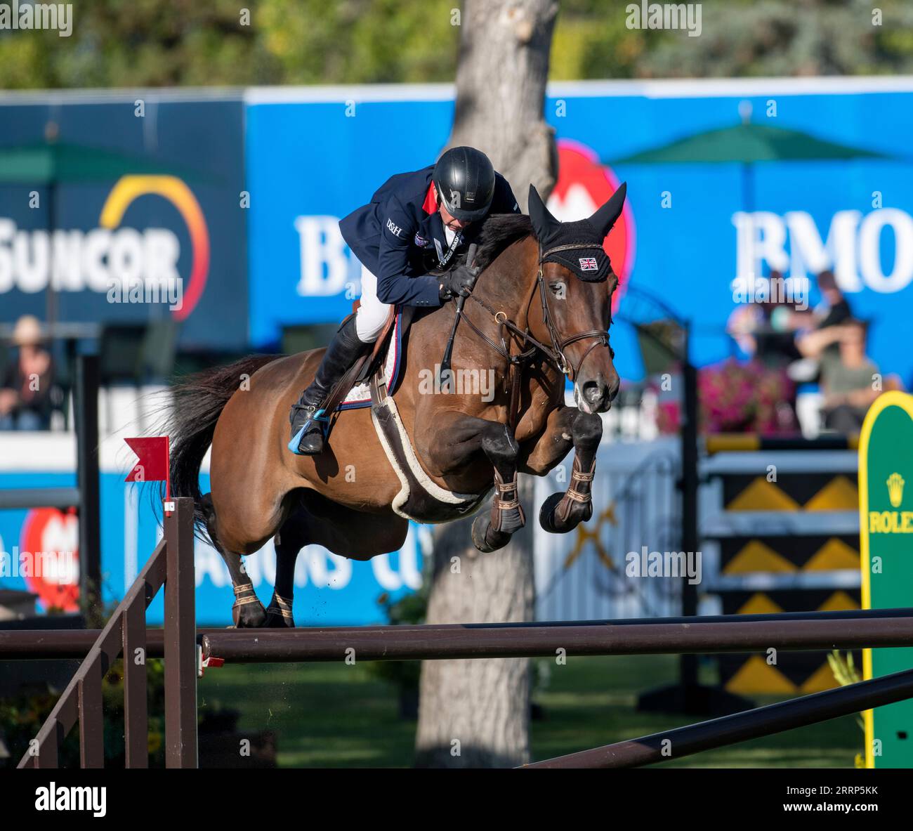 Calgary, Alberta, Canada, 8 September 2023. John Whitaker (GBR) riding ...