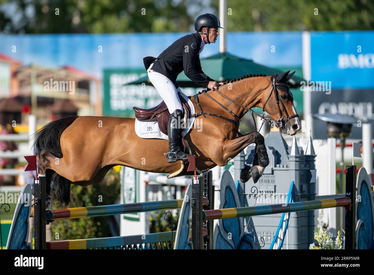 Scott brash hi-res stock photography and images - Alamy