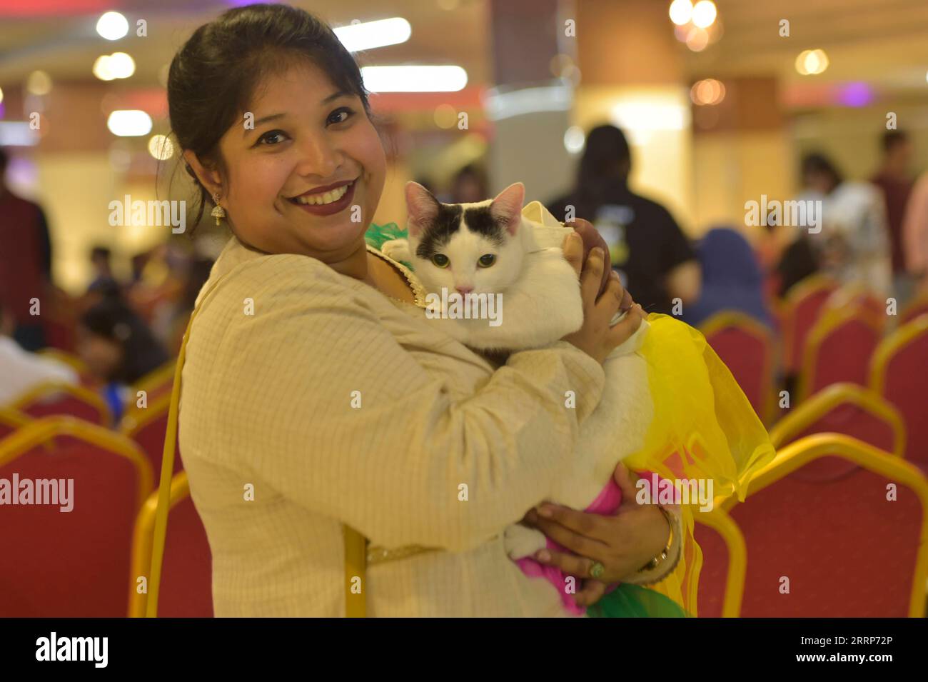 Cat ramp hi-res stock photography and images - Alamy