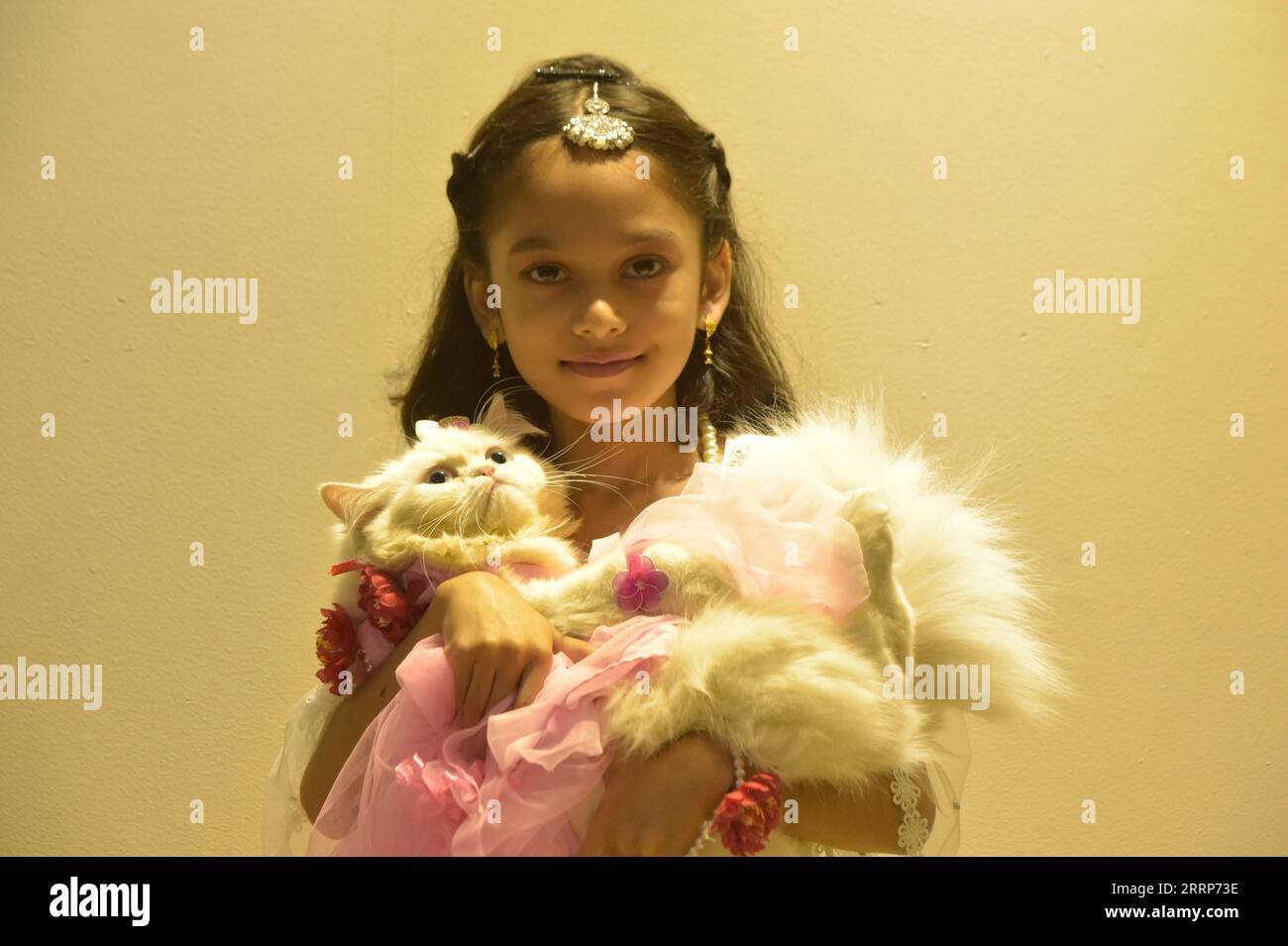 Cat ramp hi-res stock photography and images - Alamy