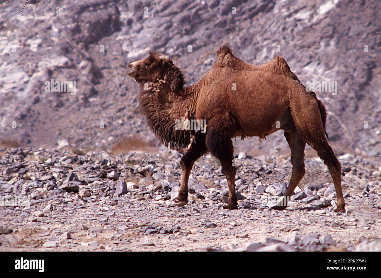 230301 -- BEIJING, March 1, 2023 -- This file photo taken by Chinese ...