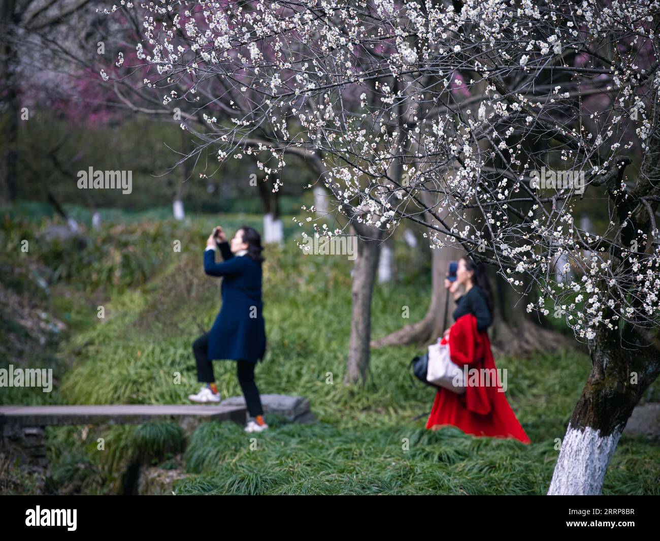 230302 -- HANGZHOU, March 2, 2023 -- Visitors take pictures at Hangzhou ...