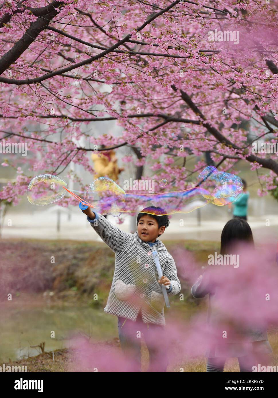 230304 -- CHANGNING, March 4, 2023 -- Children have fun under cherry ...