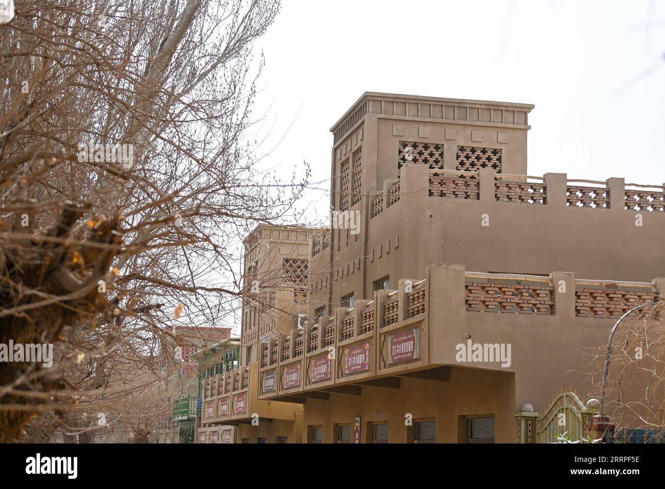230320 -- URUMQI, March 20, 2023 -- This photo taken on March 11, 2023 ...