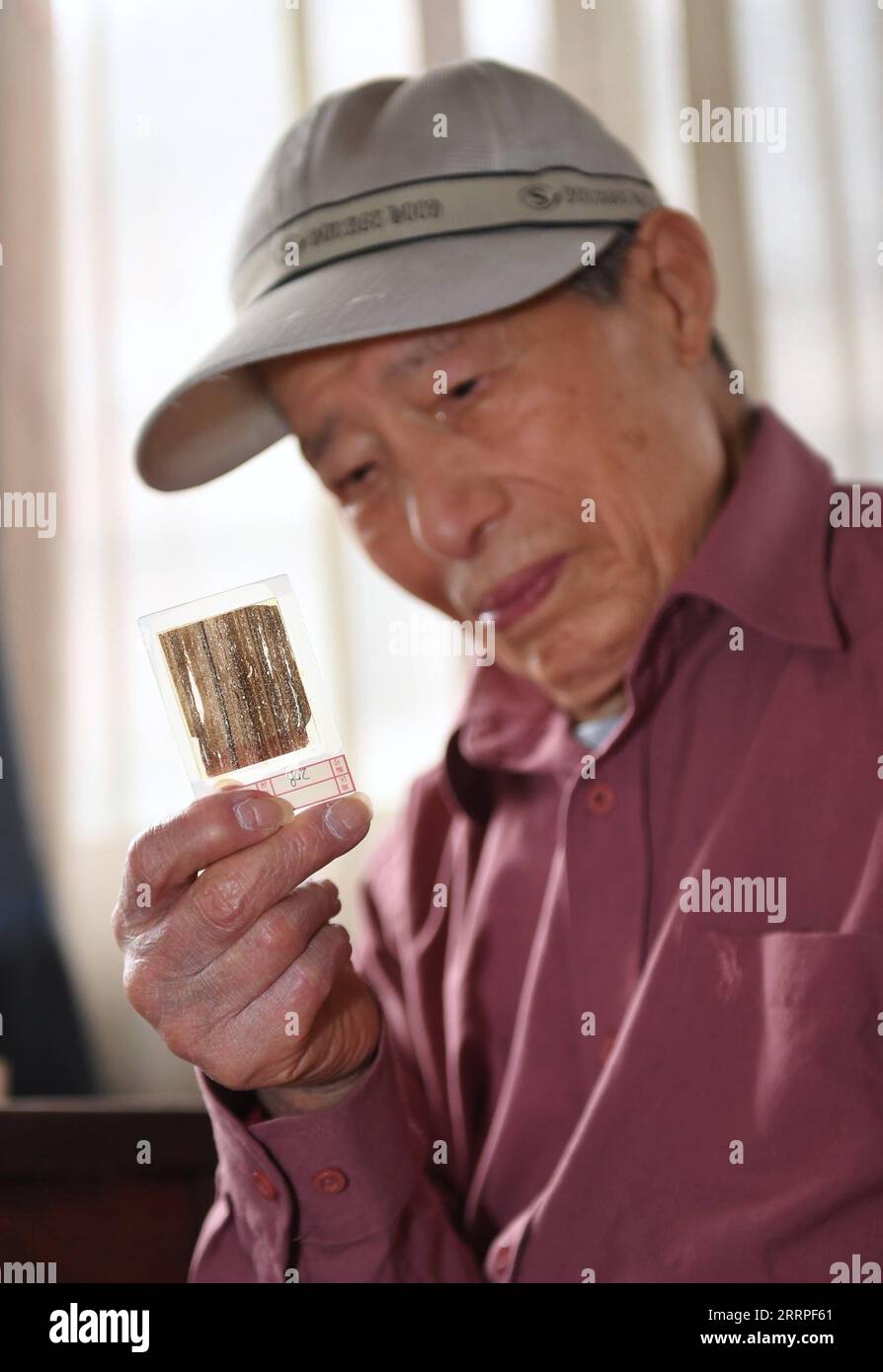 230320 -- CHENGDU, March 20, 2023 -- Wu Xichun observes a fossil slice ...