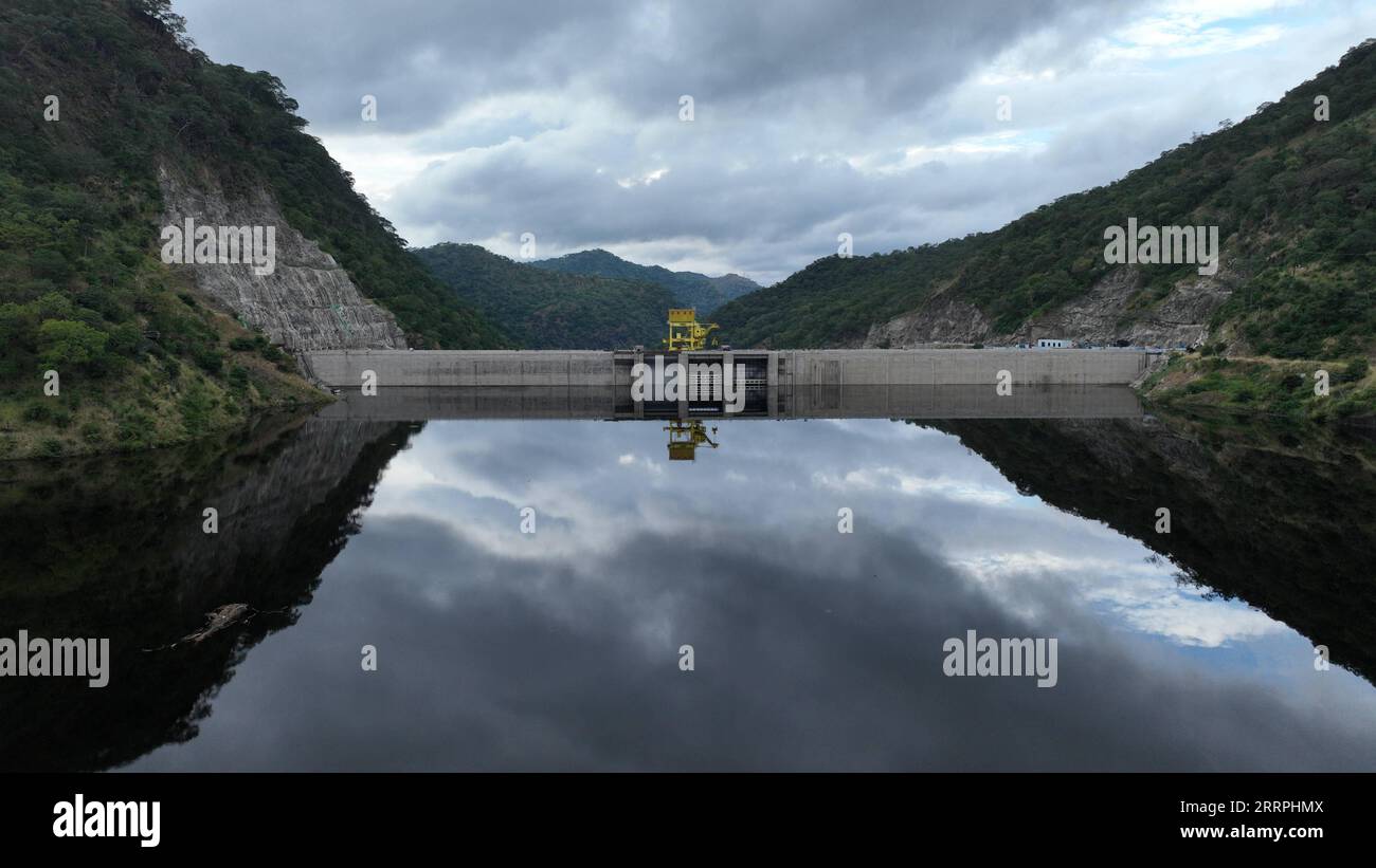 Kafue zambia plant hi-res stock photography and images - Alamy