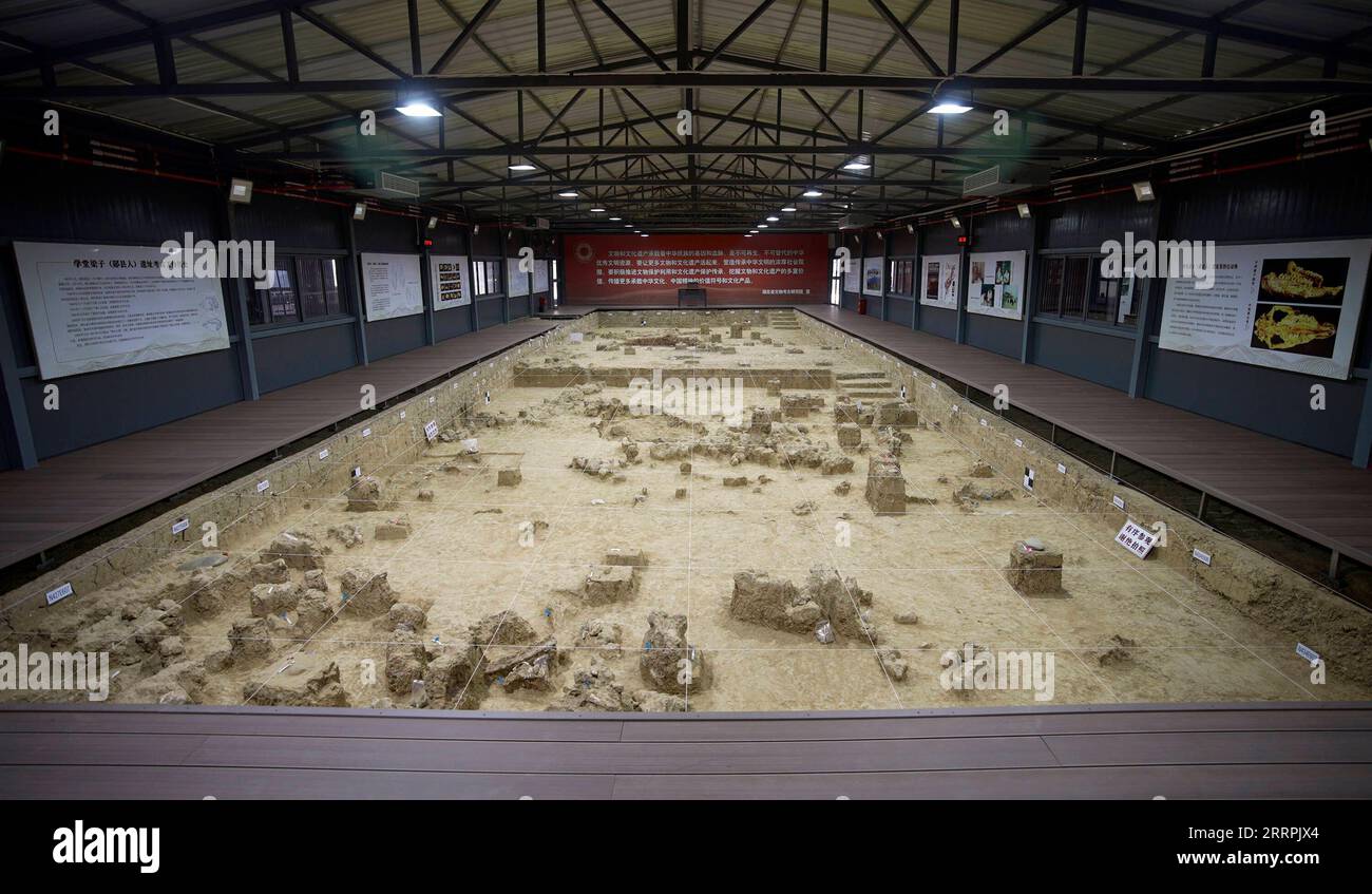 230329 -- BEIJING, March 29, 2023 -- This undated file photo shows a ...