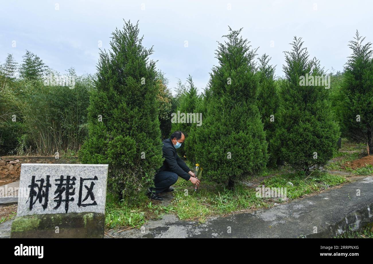 Burial area hi-res stock photography and images - Alamy