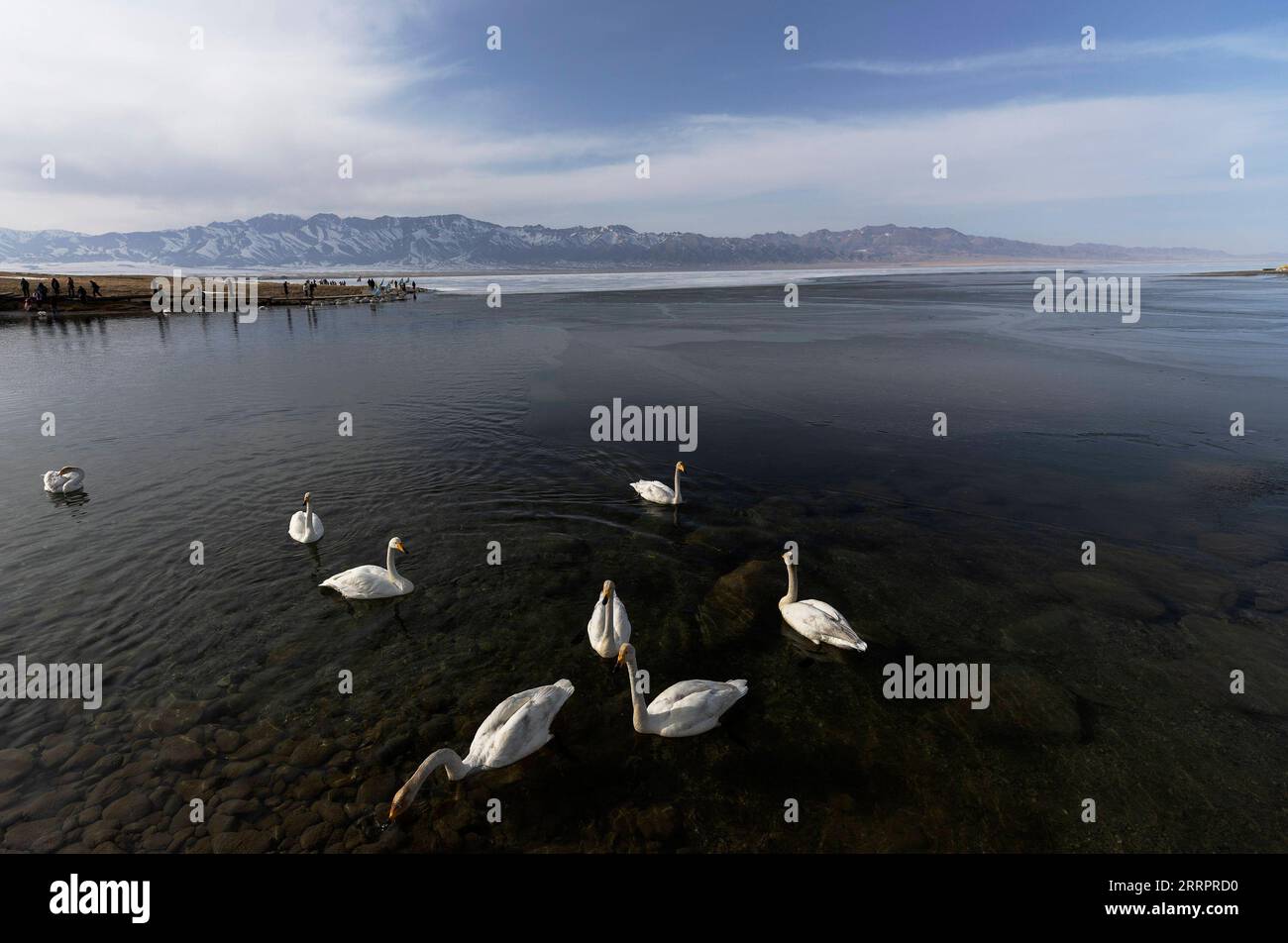 230408 -- BOLE, April 8, 2023 -- This photo taken on April 6, 2023 ...