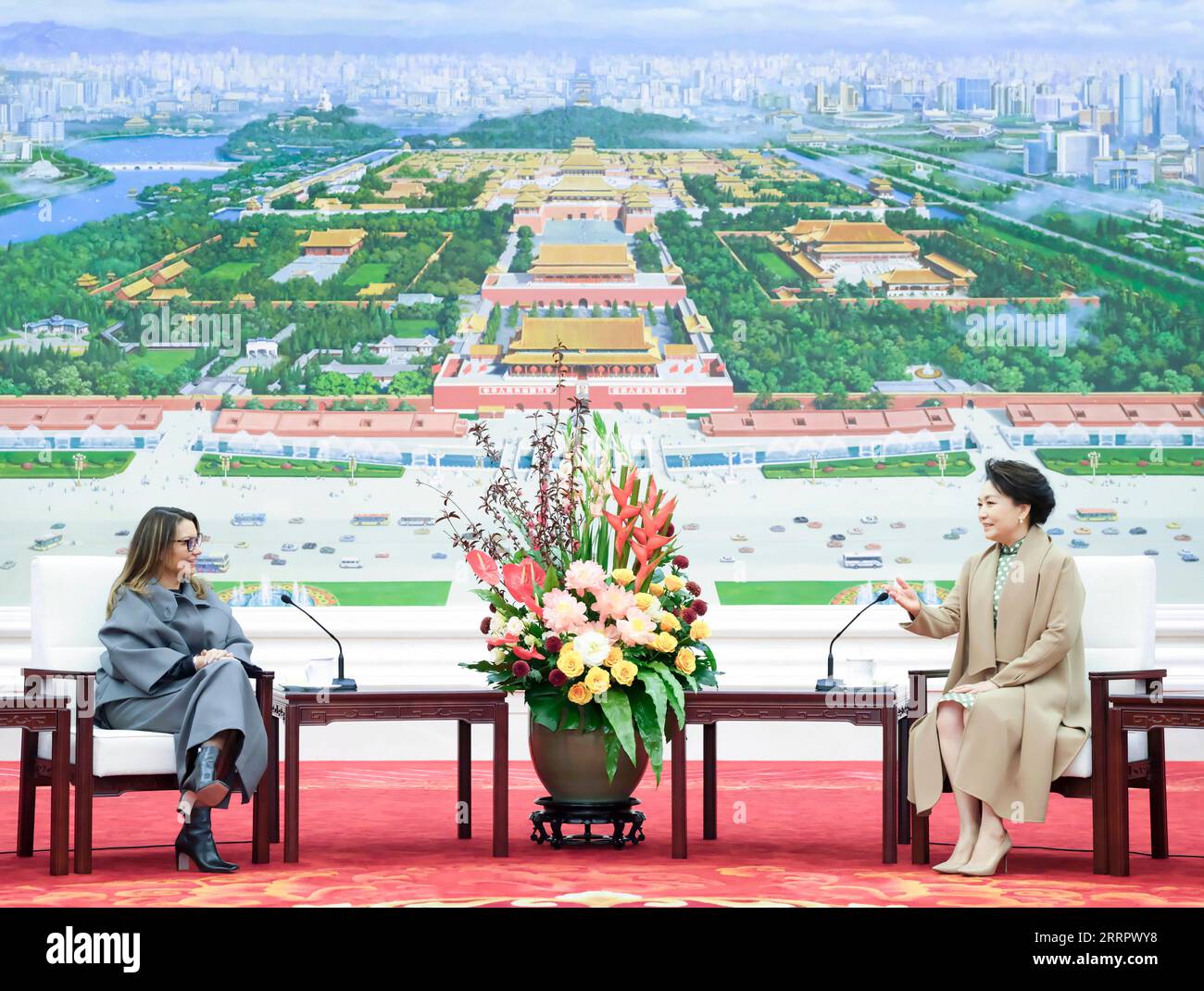 Rosangela da silva hi-res stock photography and images - Alamy