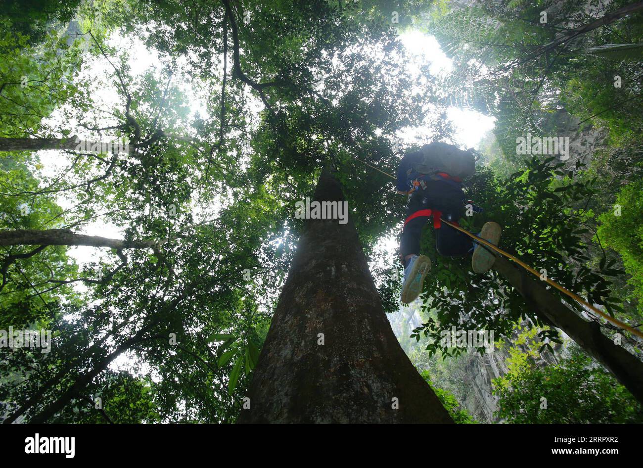 4 meter tall hi-res stock photography and images - Alamy