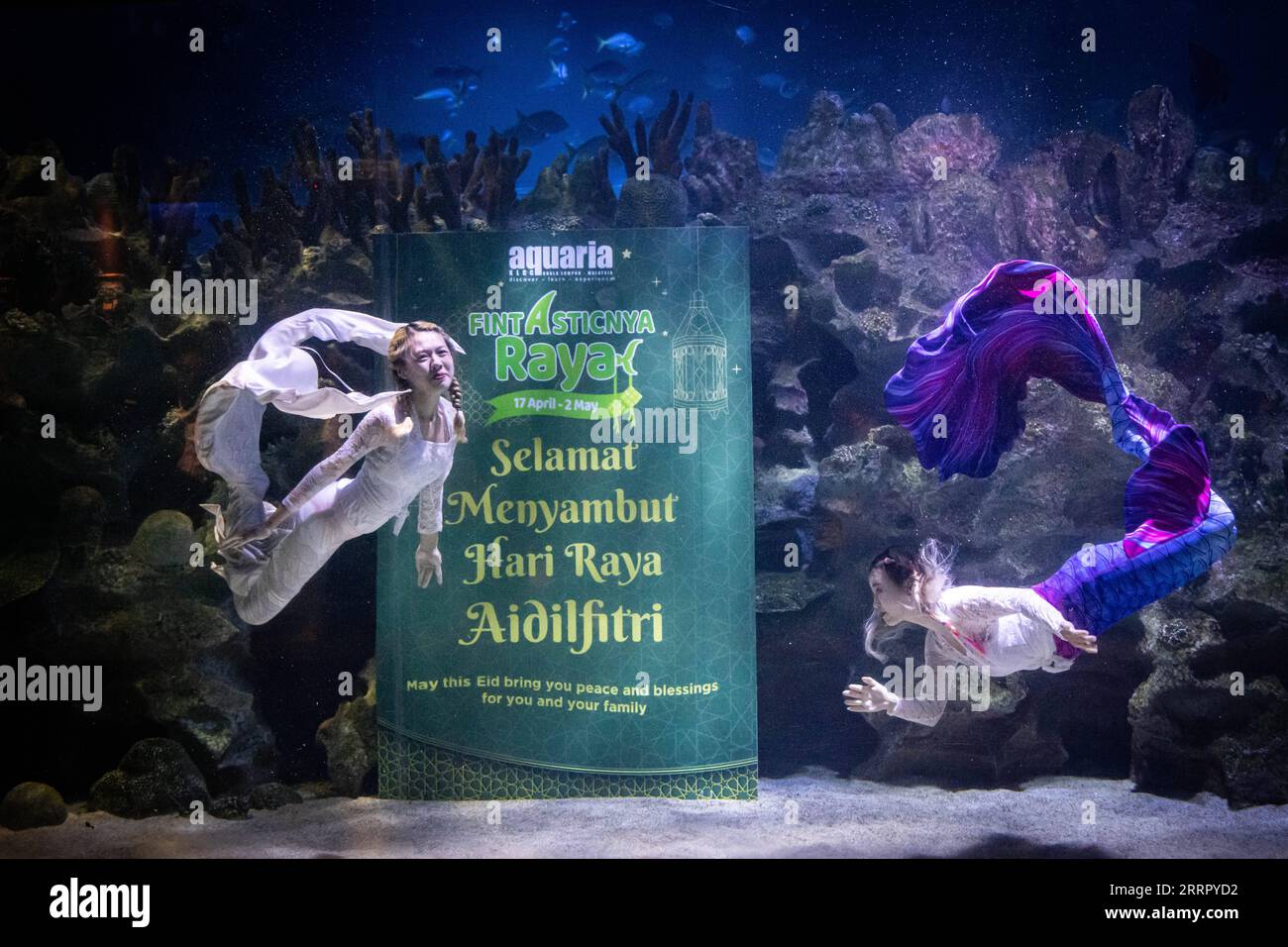 230419 -- KUALA LUMPUR, April 19, 2023 -- Mermaid swimmers perform ...