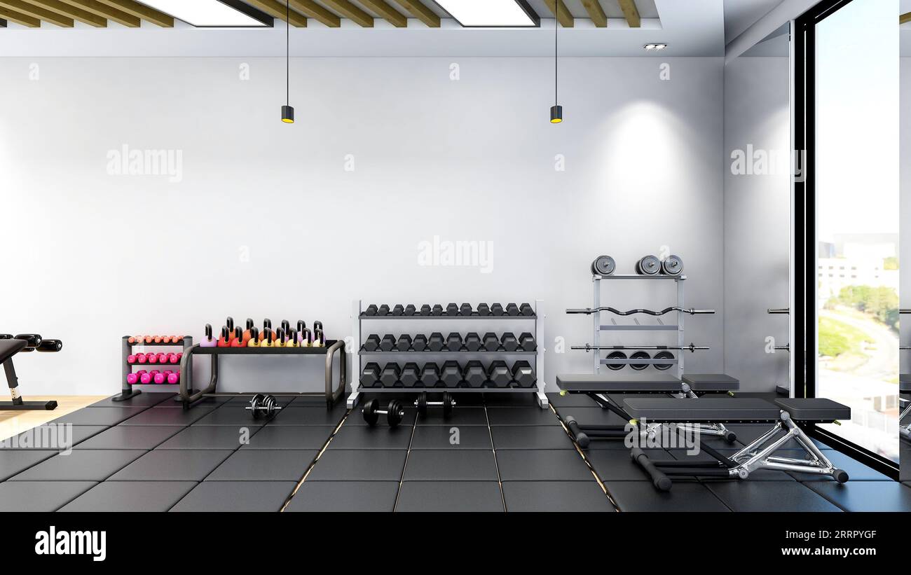 Modern gym interior with sport and fitness gym equipments, fitness ...