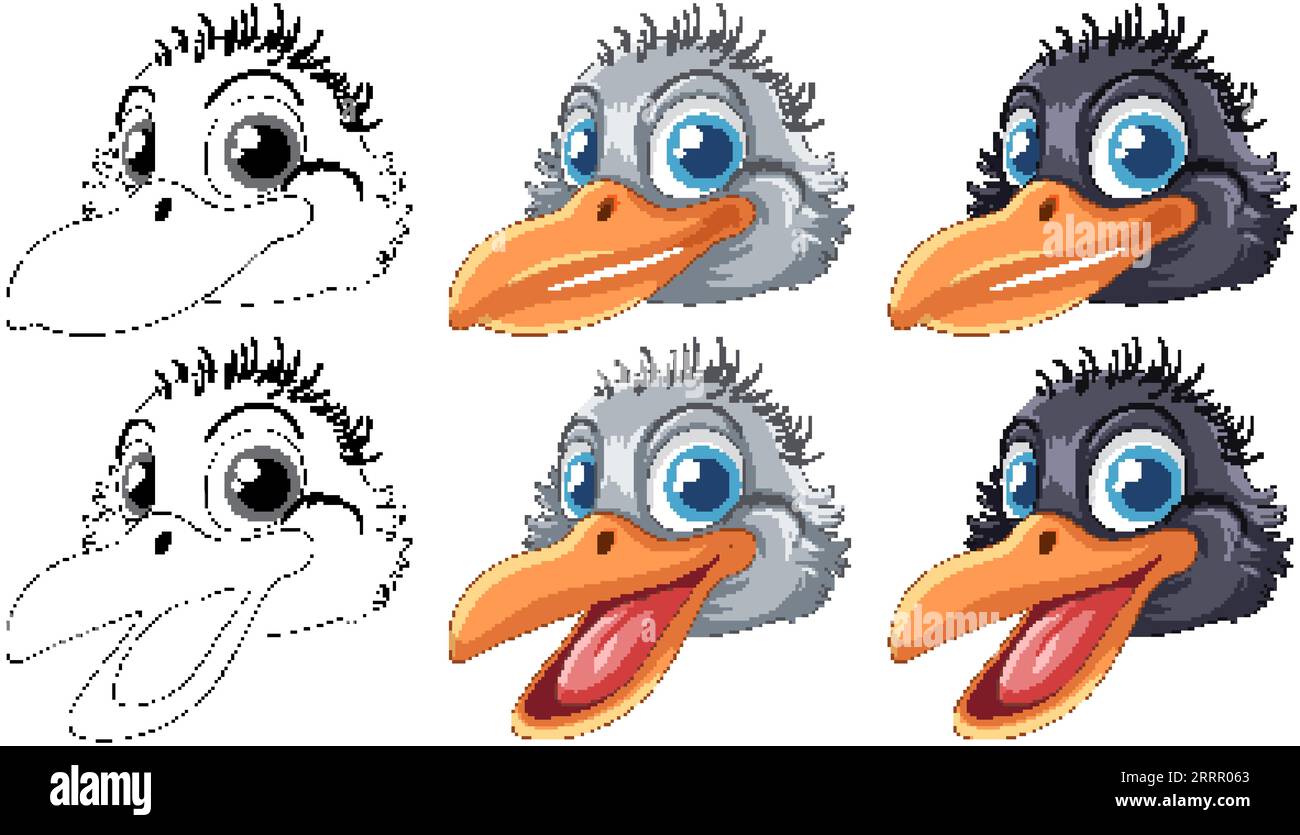 A vector cartoon illustration of an emu head with different facial ...