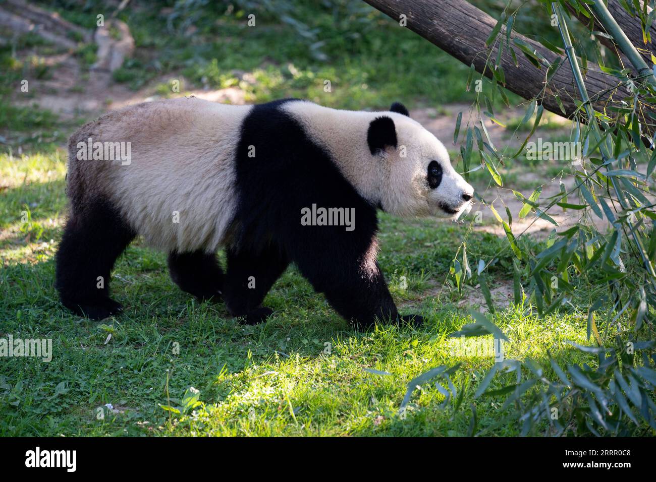 230421 -- WASHINGTON, D.C., April 21, 2023 -- This photo taken on April ...