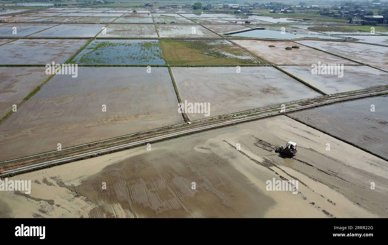 Farmer ploughing field in china hi-res stock photography and images - Alamy