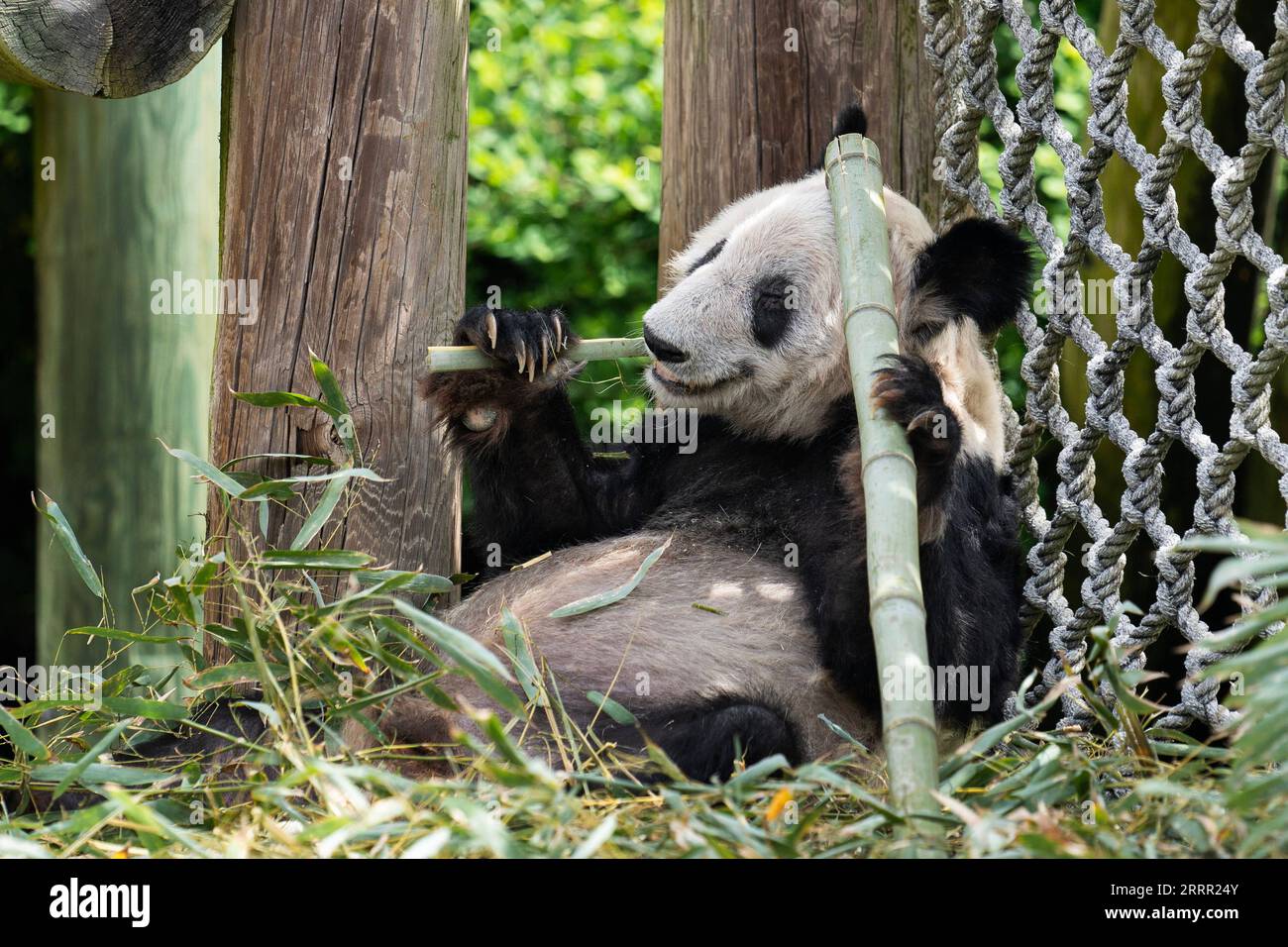 230426 -- MEMPHIS, April 26, 2023 -- This photo taken on April 25, 2023 ...