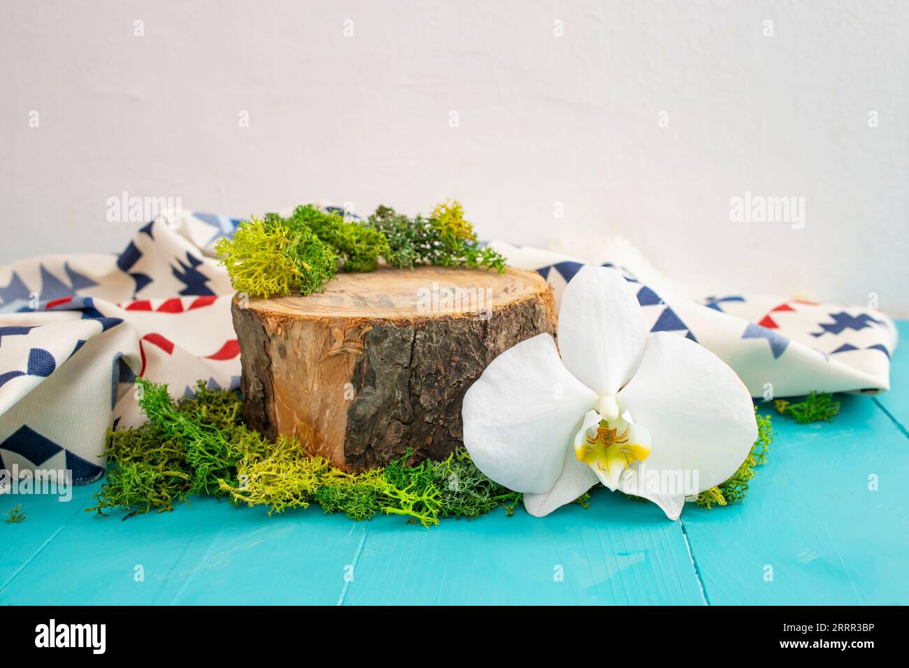 tree log with moss lichen, fabric cloth and a white orchid flower on a ...