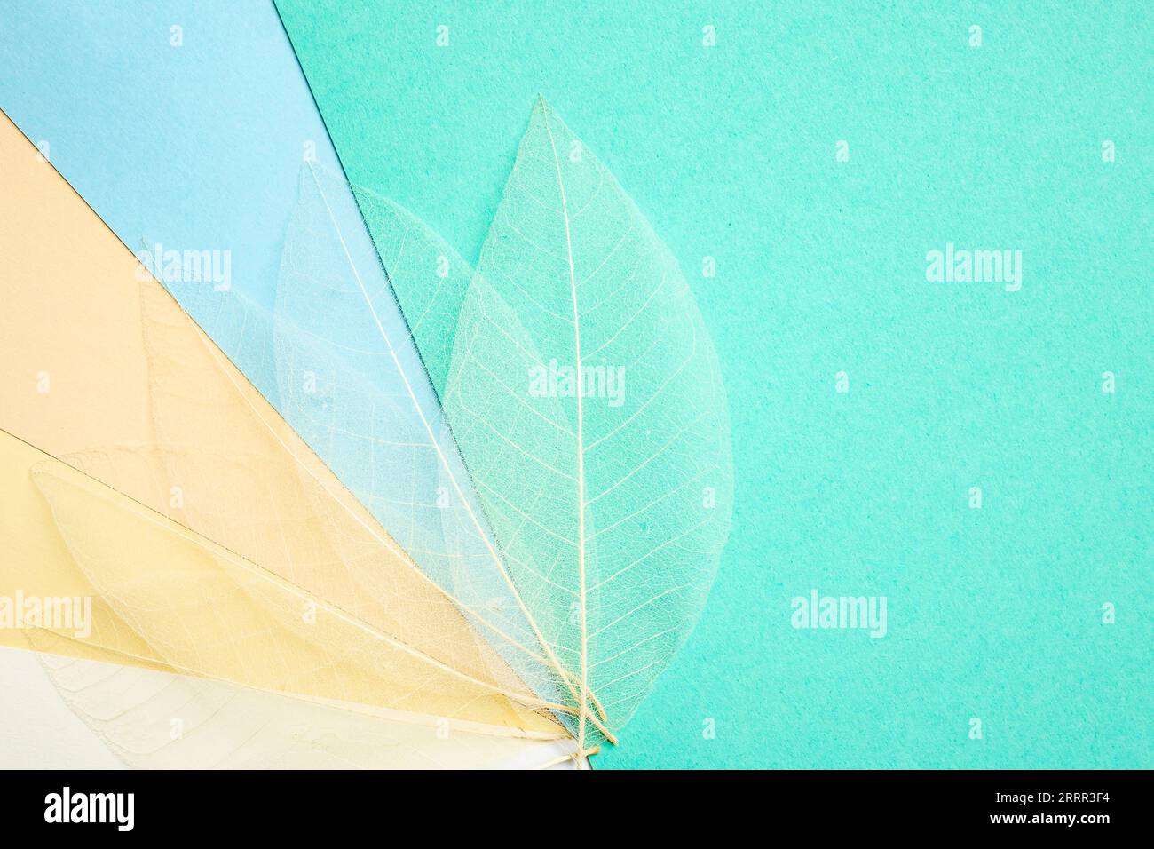 Aesthetic color palette hi-res stock photography and images - Alamy