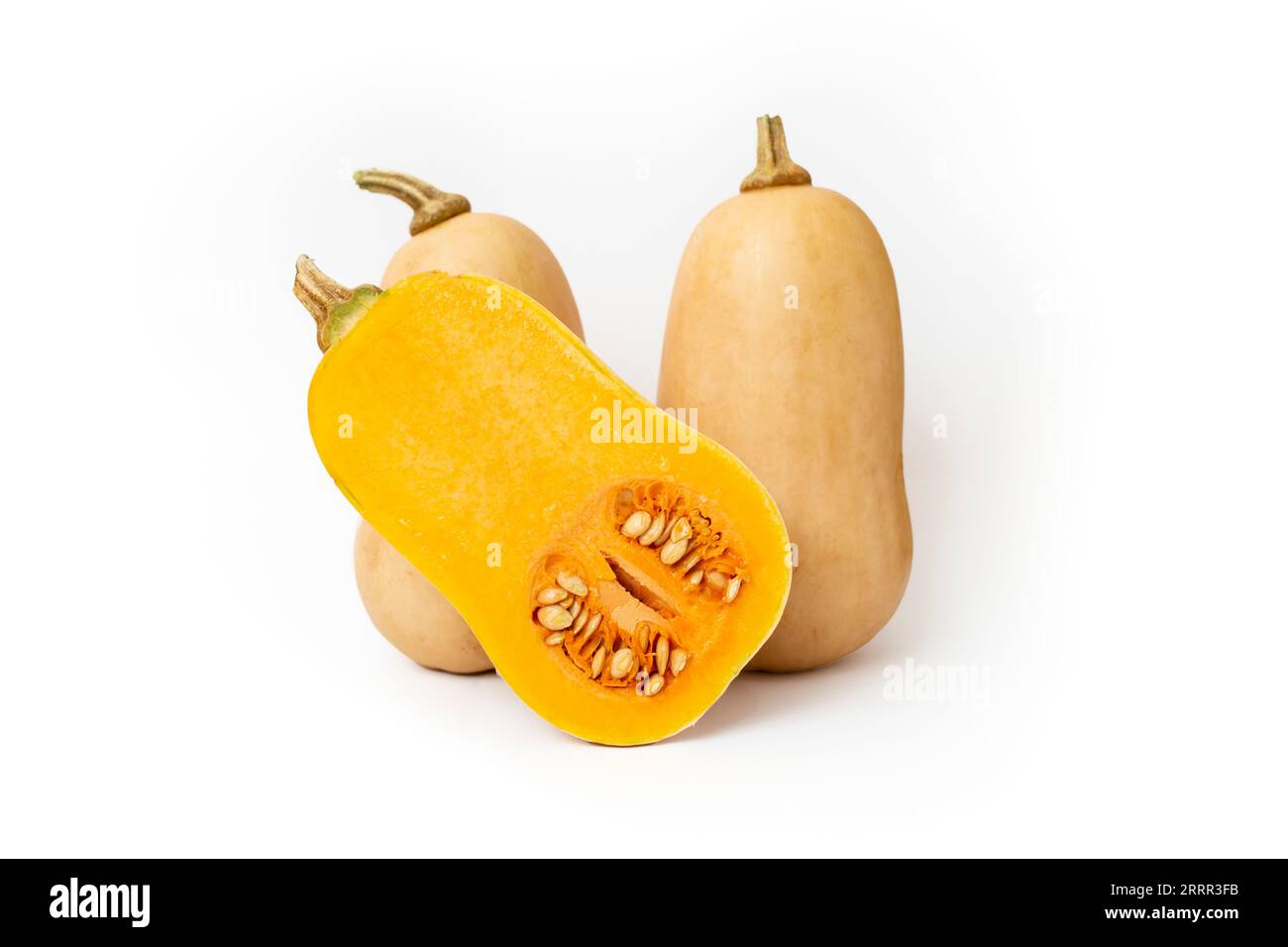 Butternut squash pumpkin group with mid section isolated on white ...