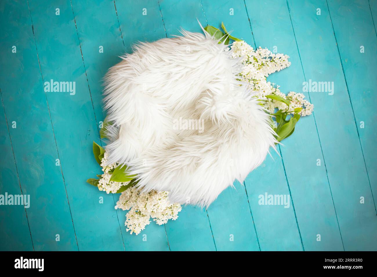 New born or baby portrait photography backdrop white fur, lilac flowers ...