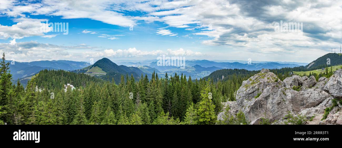High view panorama from rarau mountains, in Romania, with fir trees ...
