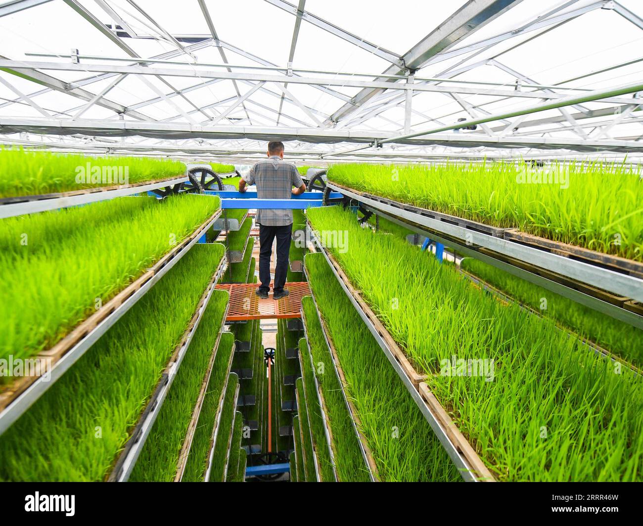 Worker s faith hi-res stock photography and images - Alamy