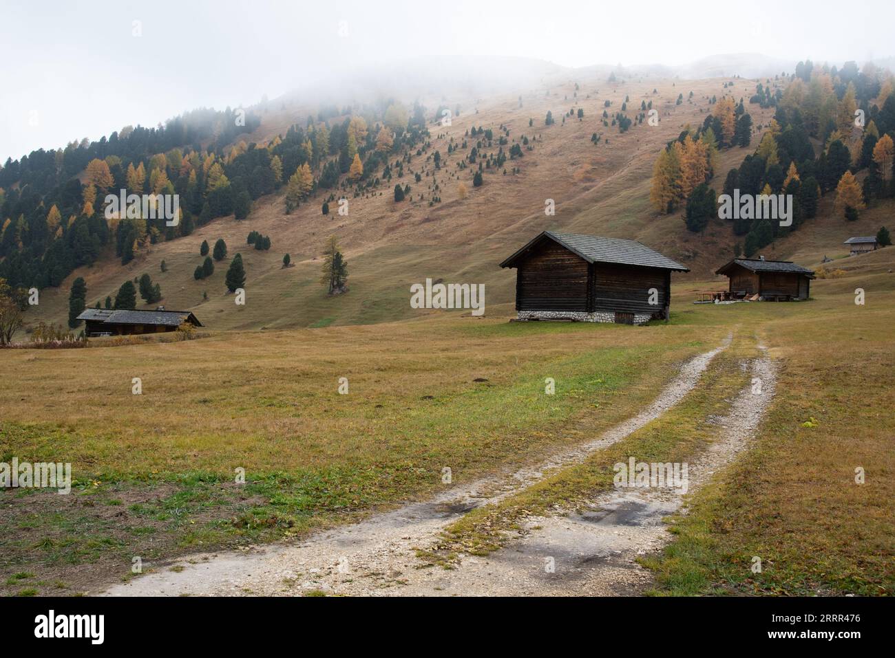 Autumn landscape in the valley. wooden log cabin . Yellow trees. Fall ...