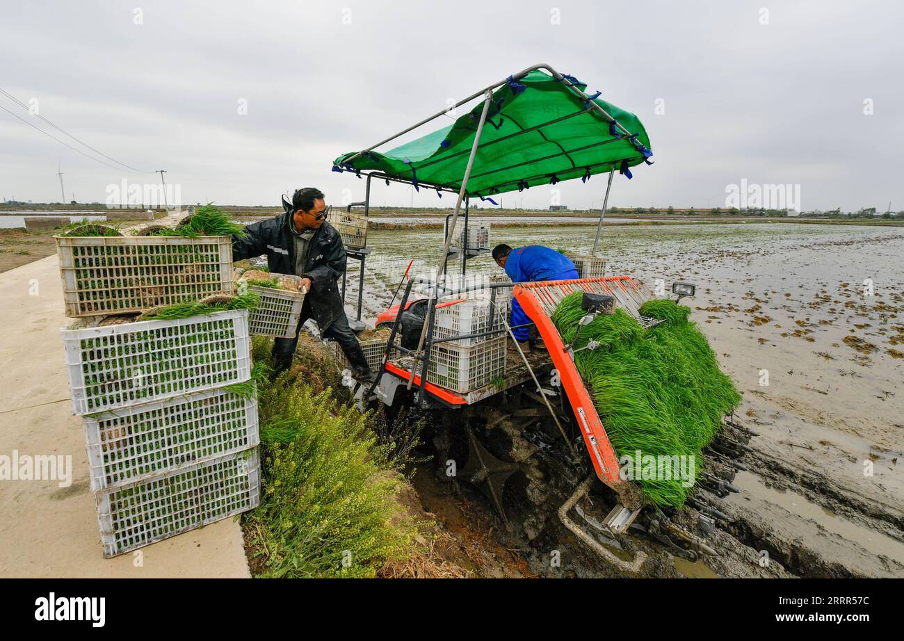 230505 -- TIANJIN, May 5, 2023 -- Farmers load rice seedlings onto a ...