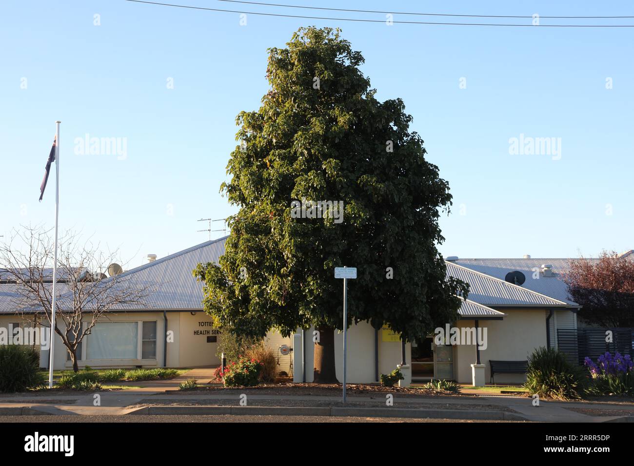 Tottenham hospital hi-res stock photography and images - Alamy