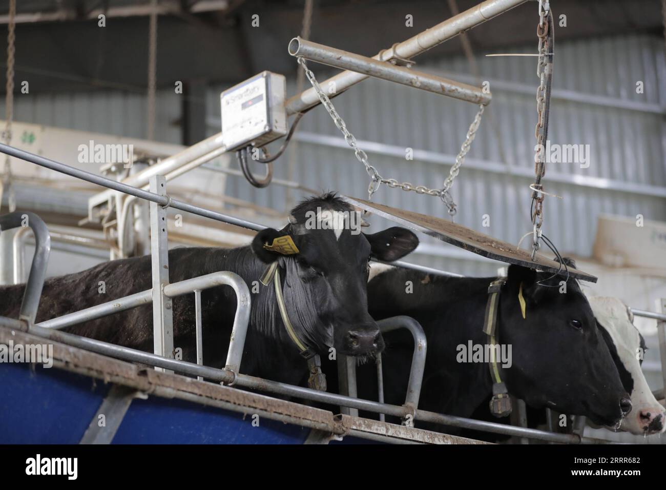 Ai powered devices hi-res stock photography and images - Alamy