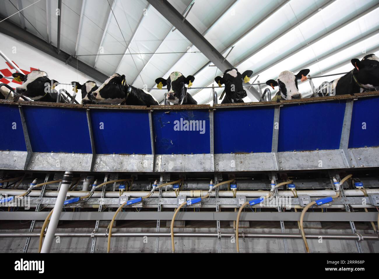 230508 -- WUWEI, May 8, 2023 -- This photo taken on May 7, 2023 shows ...