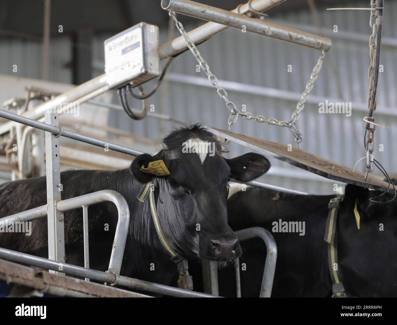 Farm ai powered hi-res stock photography and images - Alamy