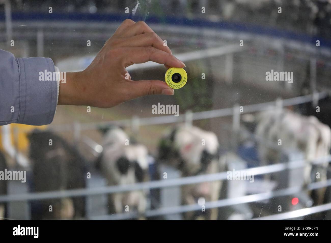 230508 -- WUWEI, May 8, 2023 -- A staff member shows an electronic ear ...