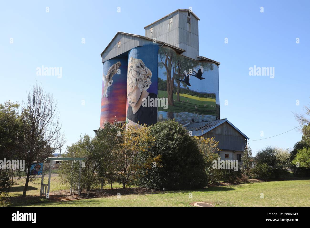 Dunedoo hi-res stock photography and images - Alamy